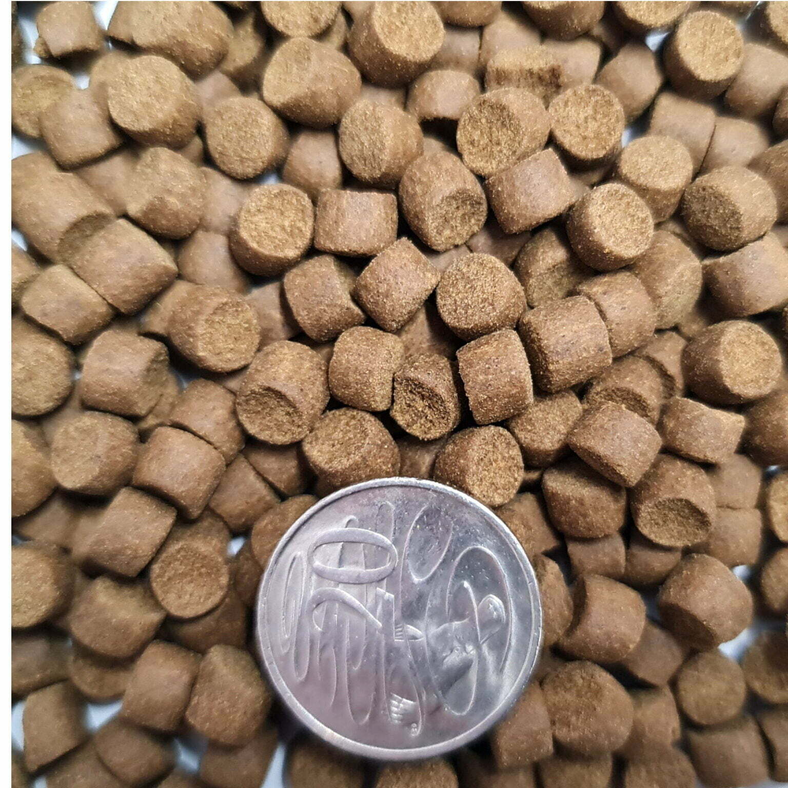 Aquarium Central - Otohime Sinking Fish Food Pellet EP8 8mm 100g ...